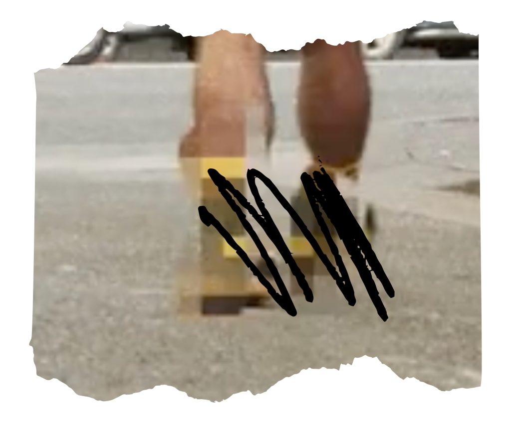 What's Been Happening at GYG - Nov 23 | Guzman y Gomez